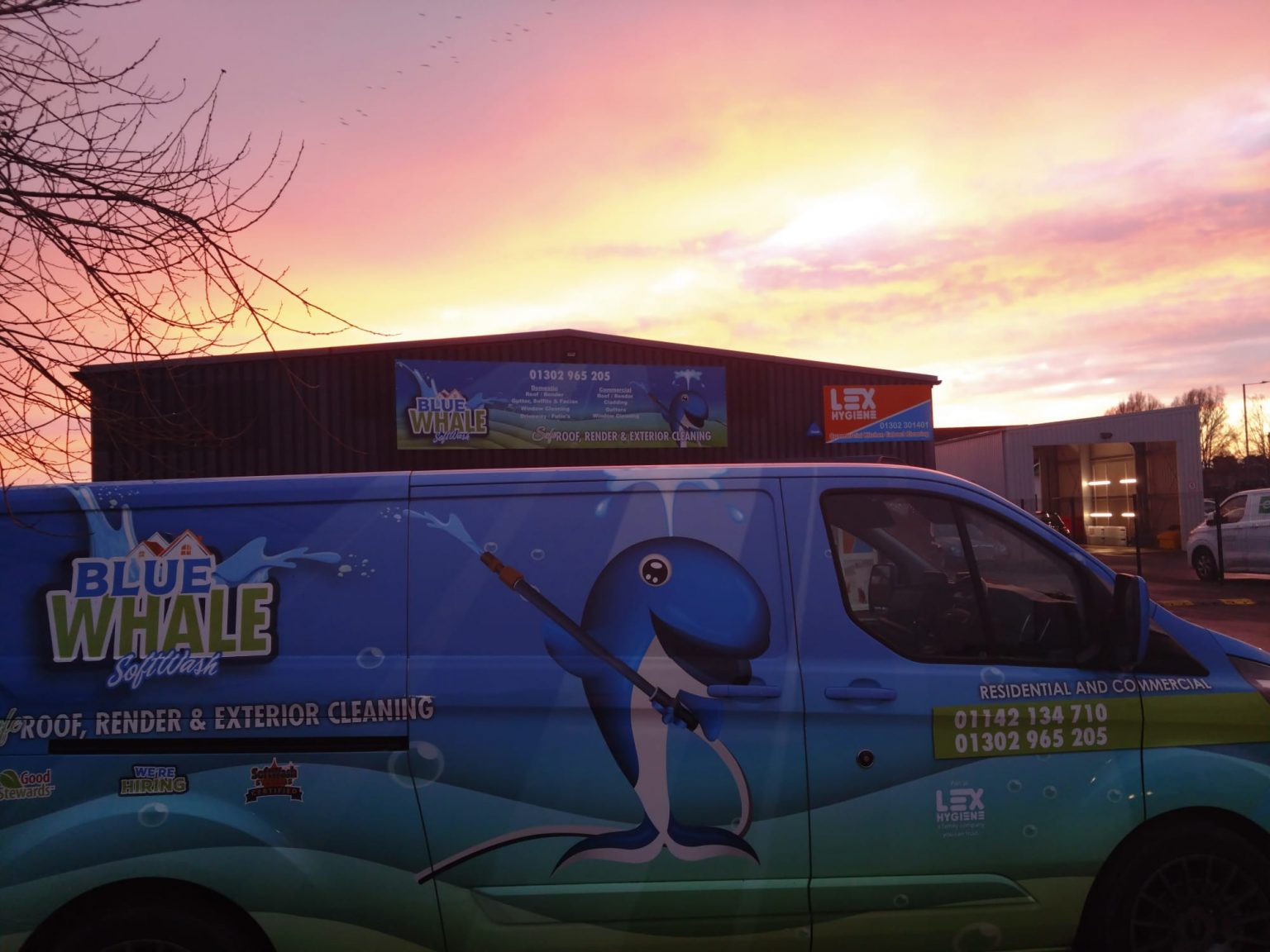 Roof Cleaning - Wash it with the Whale!!